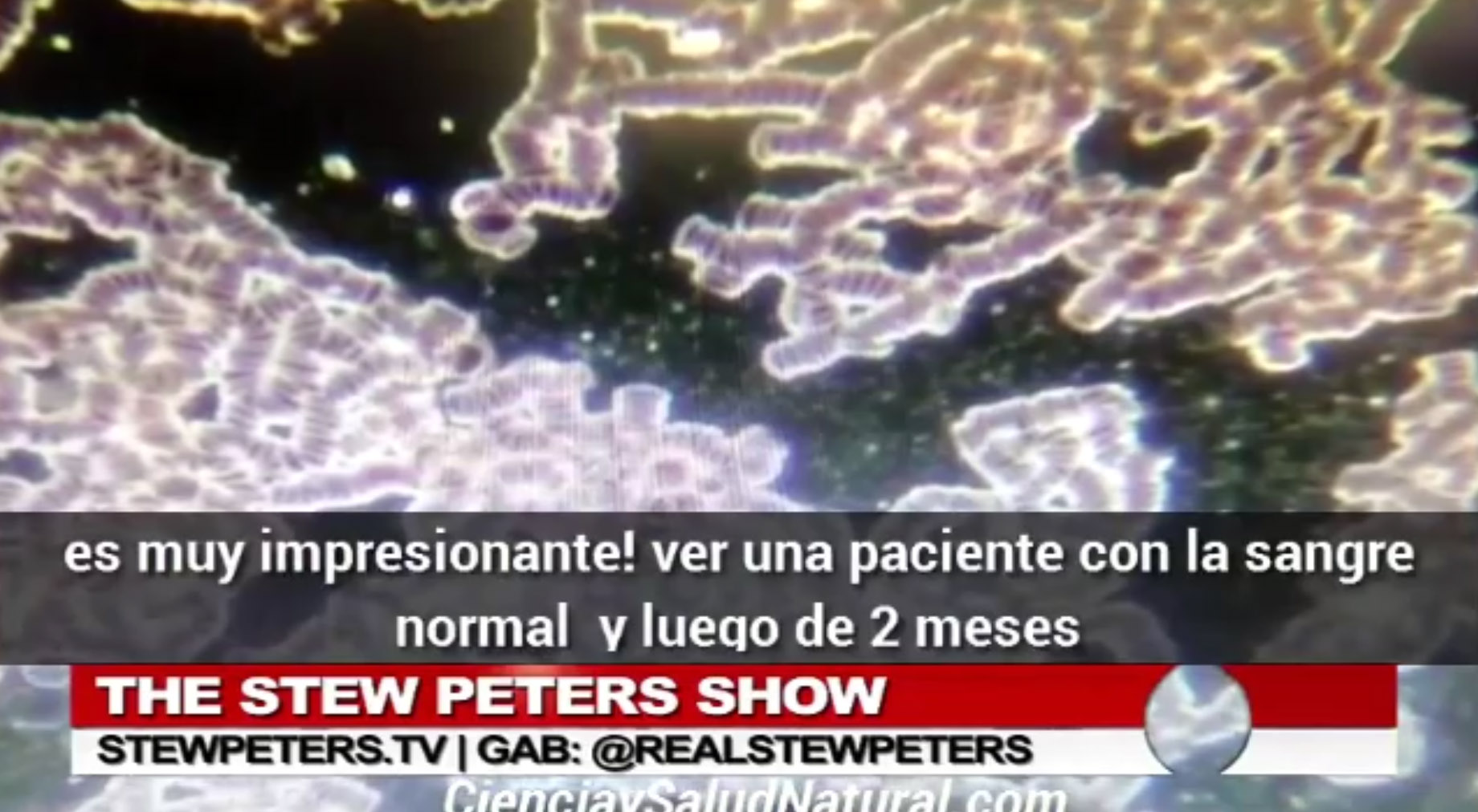 LA DRA. ZANDRE BOTHA NOS CUENTA QUE HAY EN LA SANGRE DE LOS INOCULADOS ...